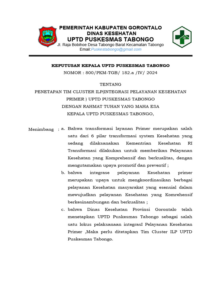 SK Tim Cluster Ilp 2024 | PDF | Kesehatan Holistik