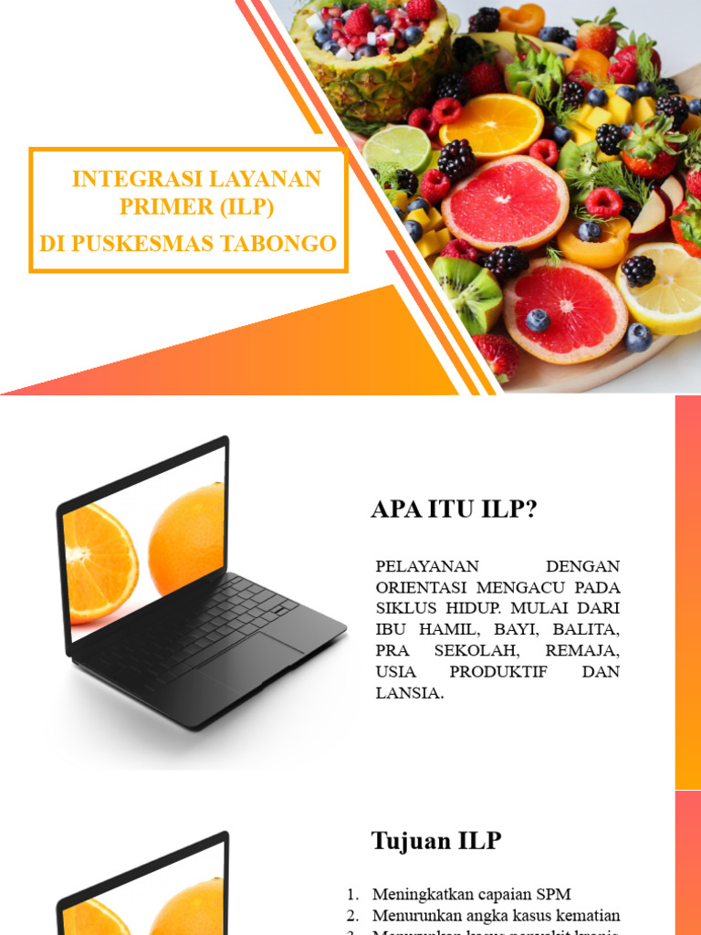 PPT ILP | PDF