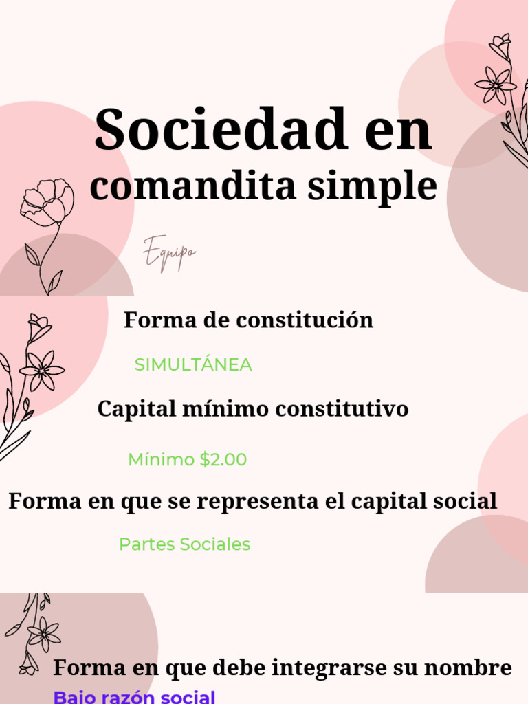 Sociedad en Comandita Simple | PDF