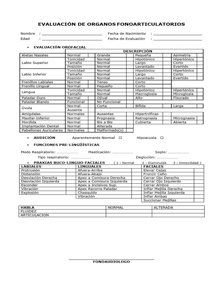 Formato Evaluación EFA | PDF