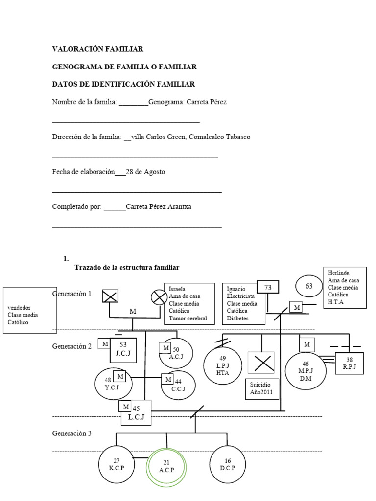 Genograma Familiar | PDF | Trauma psicólogico