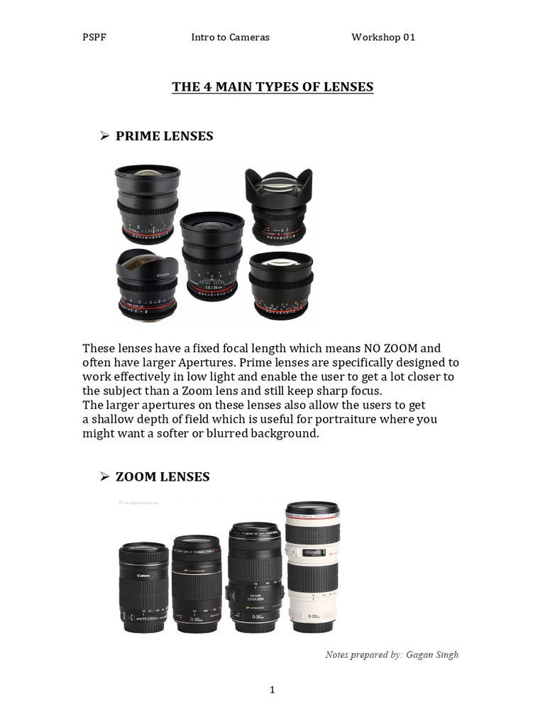 Types of Lenses | PDF | Camera Lens | Zoom Lens