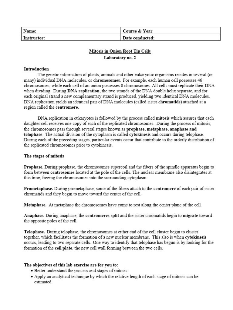 Edsci 308 Activity 2 | PDF | Mitosis | Chromosome