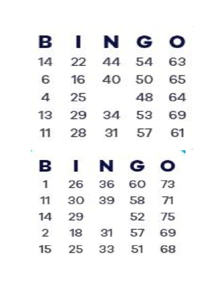 Bingo | PDF