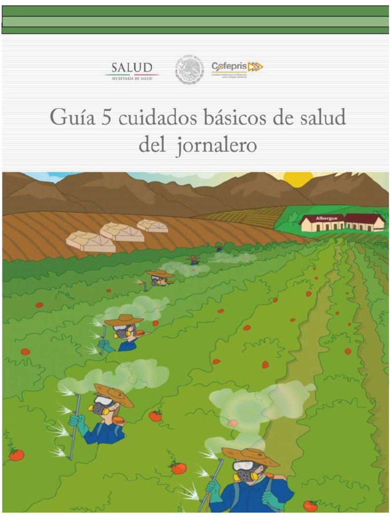 Cuidados de Salud para Jornaleros Agrícolas | PDF | Diabetes | Alimentos