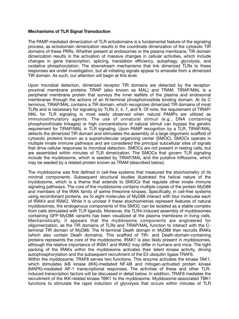 Mechanisms of TLR Signal Transduction | PDF | Toll Like Receptor ...