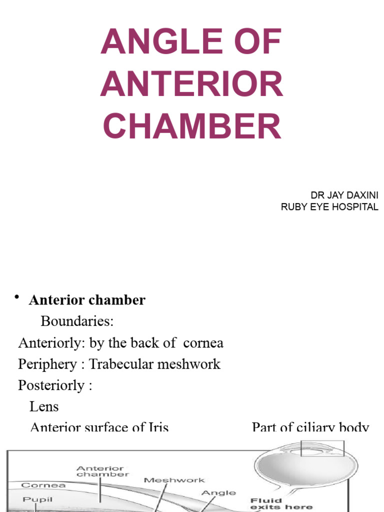 Angle-of-Anterior-Chamber DR JAY | PDF | Cornea | Human Eye