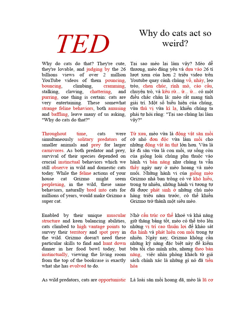 Why Do Cats Act So Weird | PDF