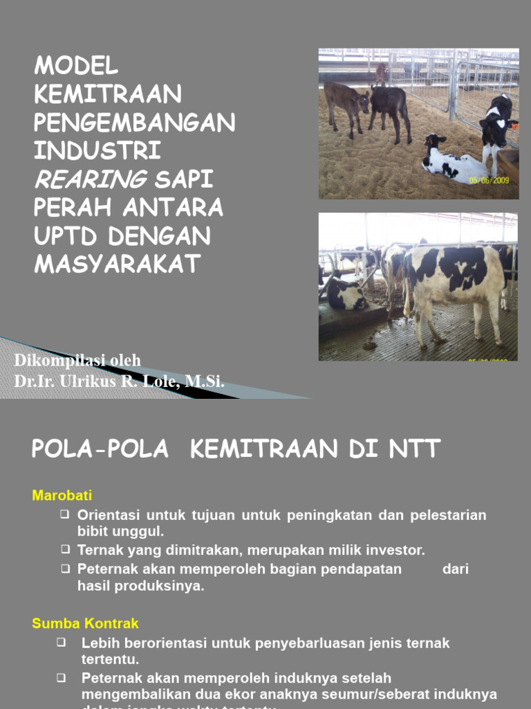 14b-Kemitraan-Uptd-Masyarakat-Sapi Potong | PDF