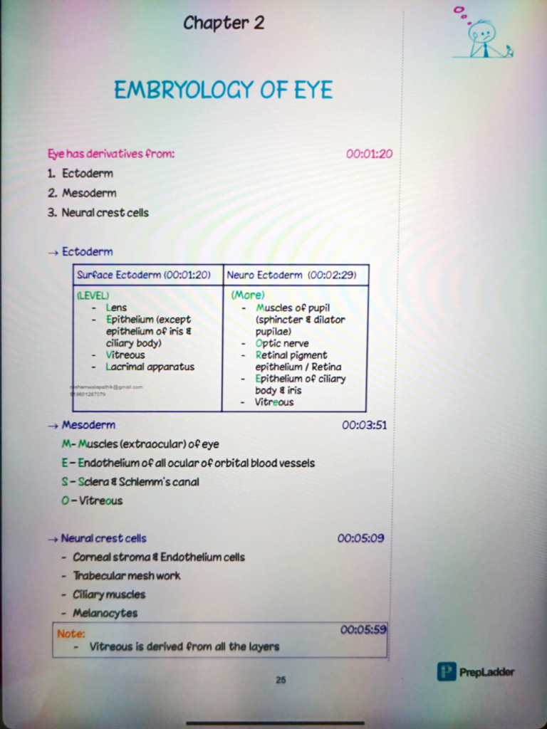 Chapter 2 Basics of Ophthalmology Embryology | PDF