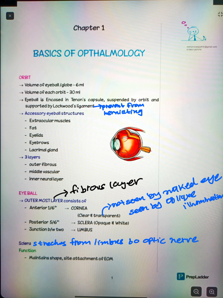 Chapter 1 Basics of Ophthalmology Part 1 | PDF Chapter 1 Basics of Ophthalmology Part 1 | PDF