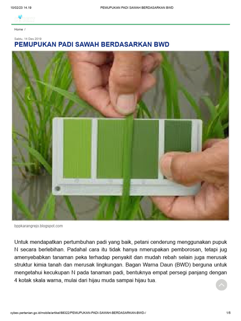 Pemupukan Padi Sawah Berdasarkan BWD | PDF | Kesehatan Holistik