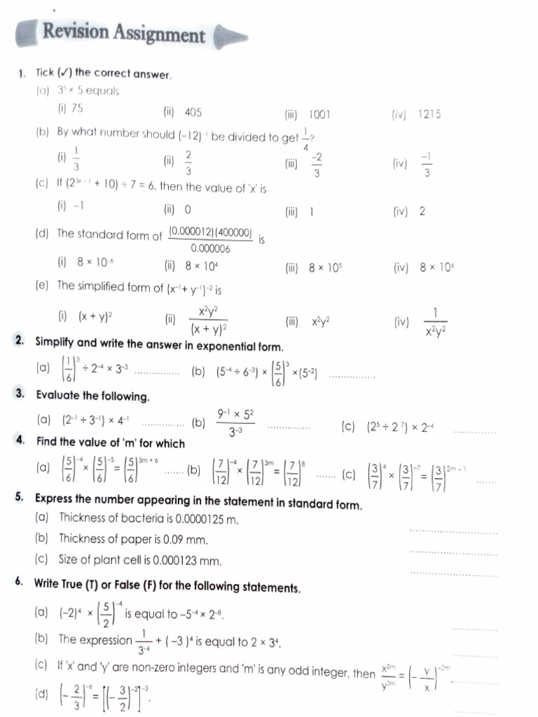 Maths Revision Assignment | PDF | Mathematics | Arithmetic