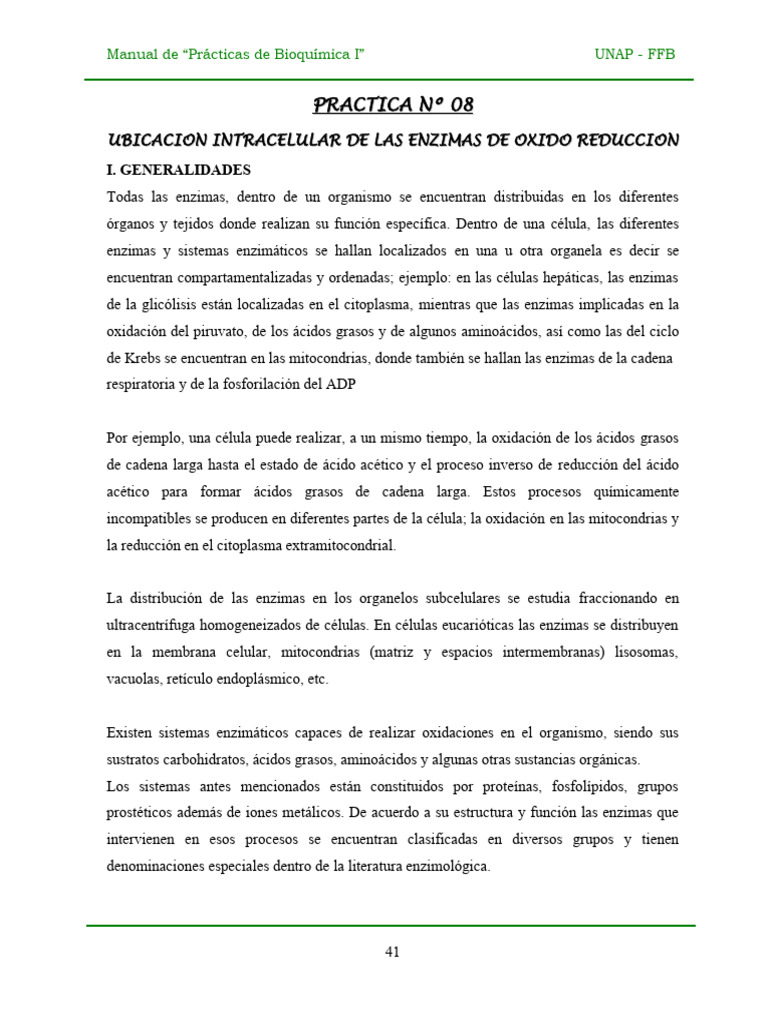 08 Guia Practica 08 Bqca I 2024-I | PDF | Citoplasma | Enzima