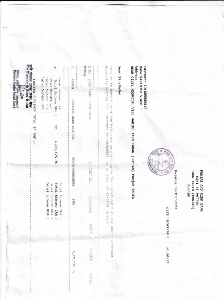 Balance Certificate | PDF
