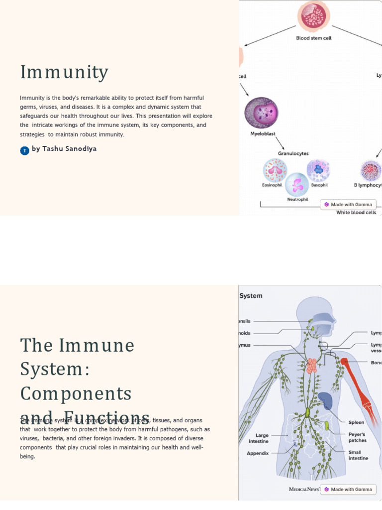 Wa0001. | PDF | Immune System | Adaptive Immune System