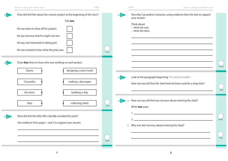 Year 5 NFER Reading Test Answers | PDF