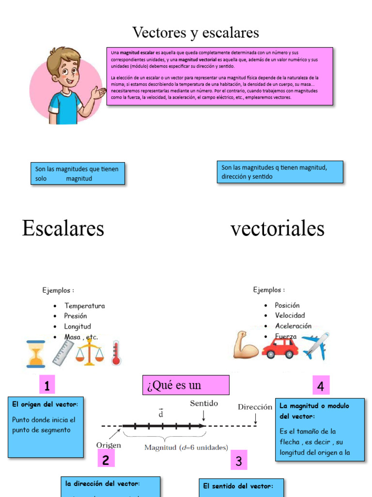 Vectores y Escalares Infografia | PDF | Vector Euclidiano | Escalar (Matemáticas)