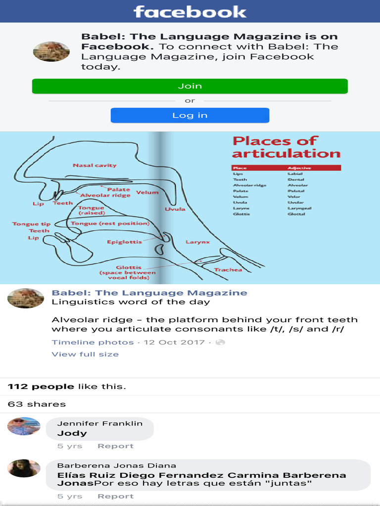 Babel The Language Magazine - Linguistics word of the day Alveolar ...