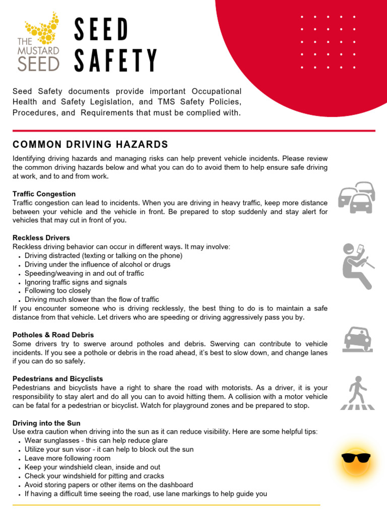 Weekly Topic 126 - Common Driving Hazards | PDF