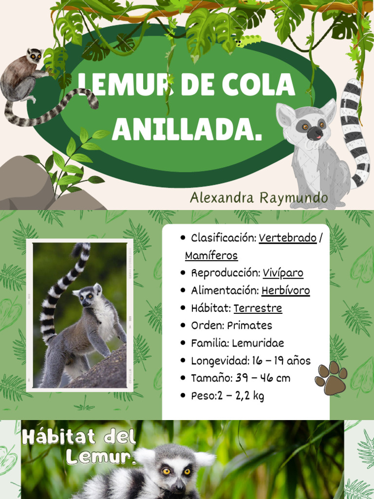 El Lemur - 20240717 - 001525 - 0000 | PDF | Reproducción | Zoología