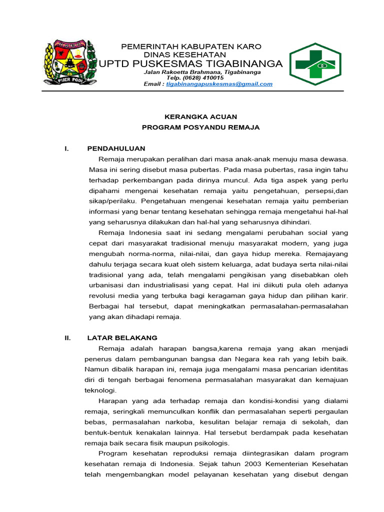Program Posyandu Remaja Kesehatan Karo | PDF