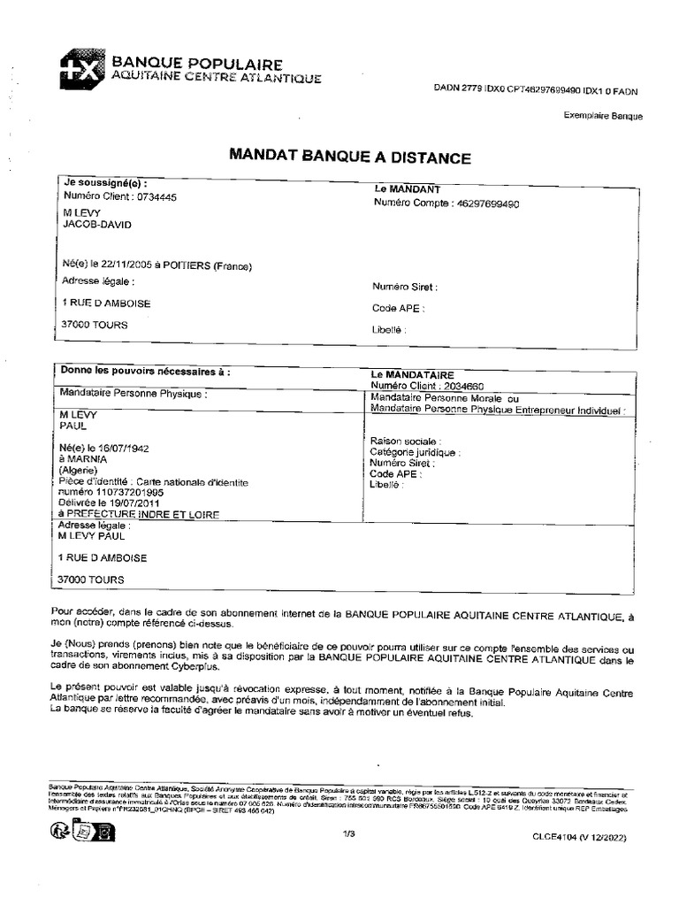 Mandat Banque À Distance | PDF