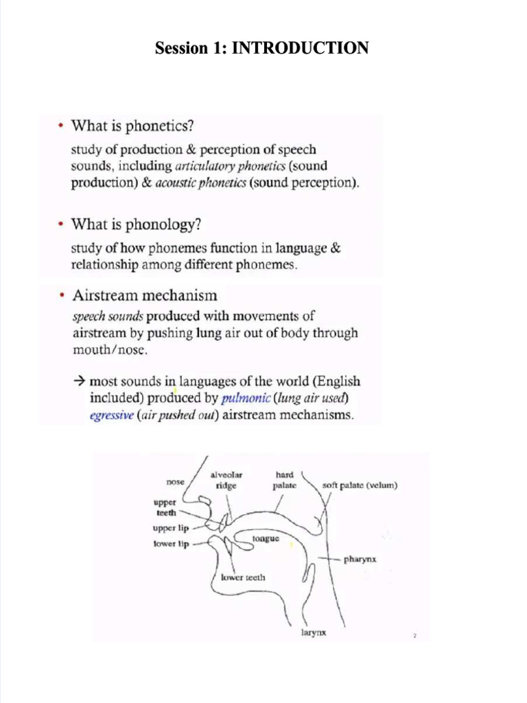 PDF de Cuong Ngu Am Am VI Hoc - Compress | PDF | Phonetics | Human Voice