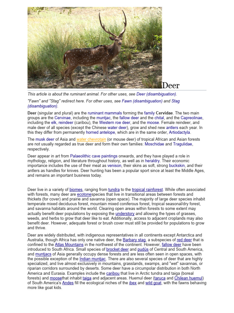 Deer detail | PDF | Deer