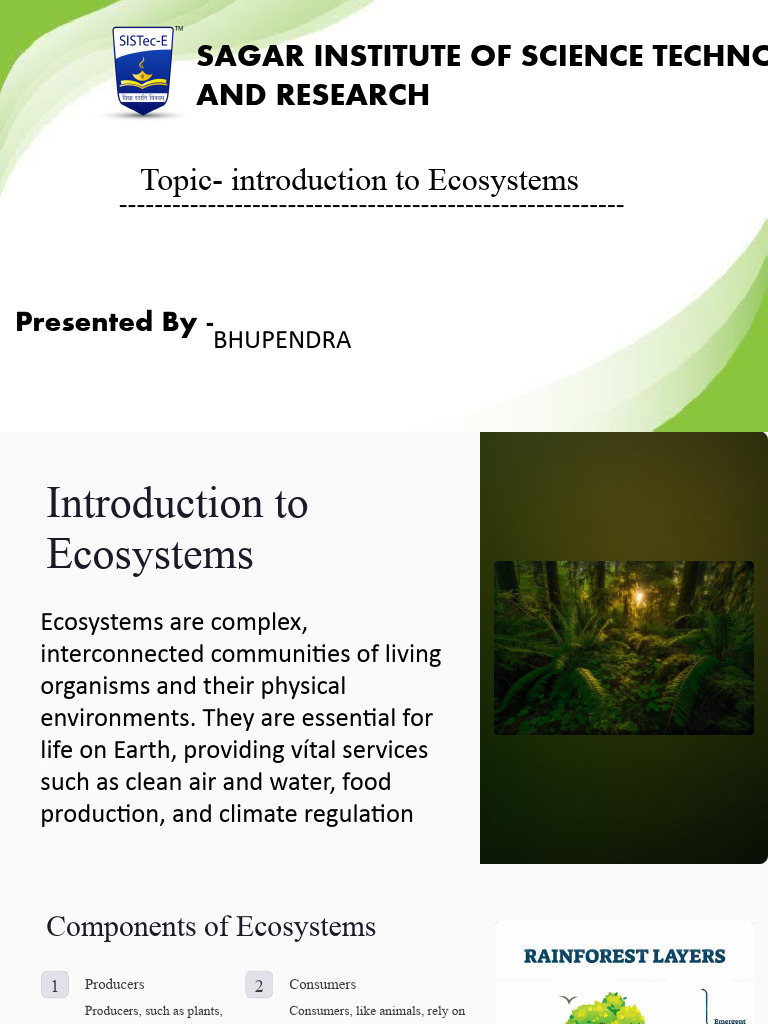 Introduction-to-Ecosystems Bhupendra | PDF | Ecosystem | Food Web