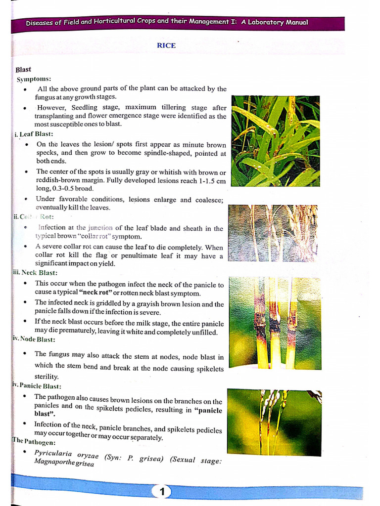 Plant Pathology PPA PRACTICAL Note Book | PDF | Plants | Botany