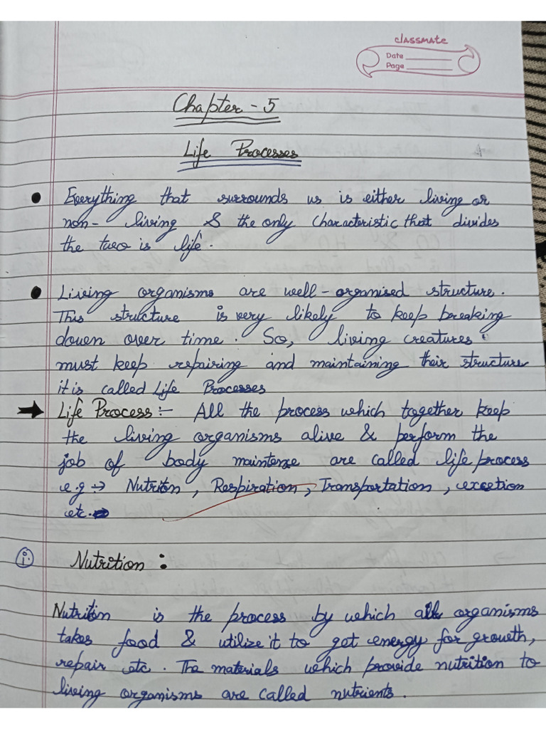 Class 10th Ch 5 Life Processes Handwritten Notes | PDF Class 10th Ch 5 Life Processes Handwritten Notes | PDF