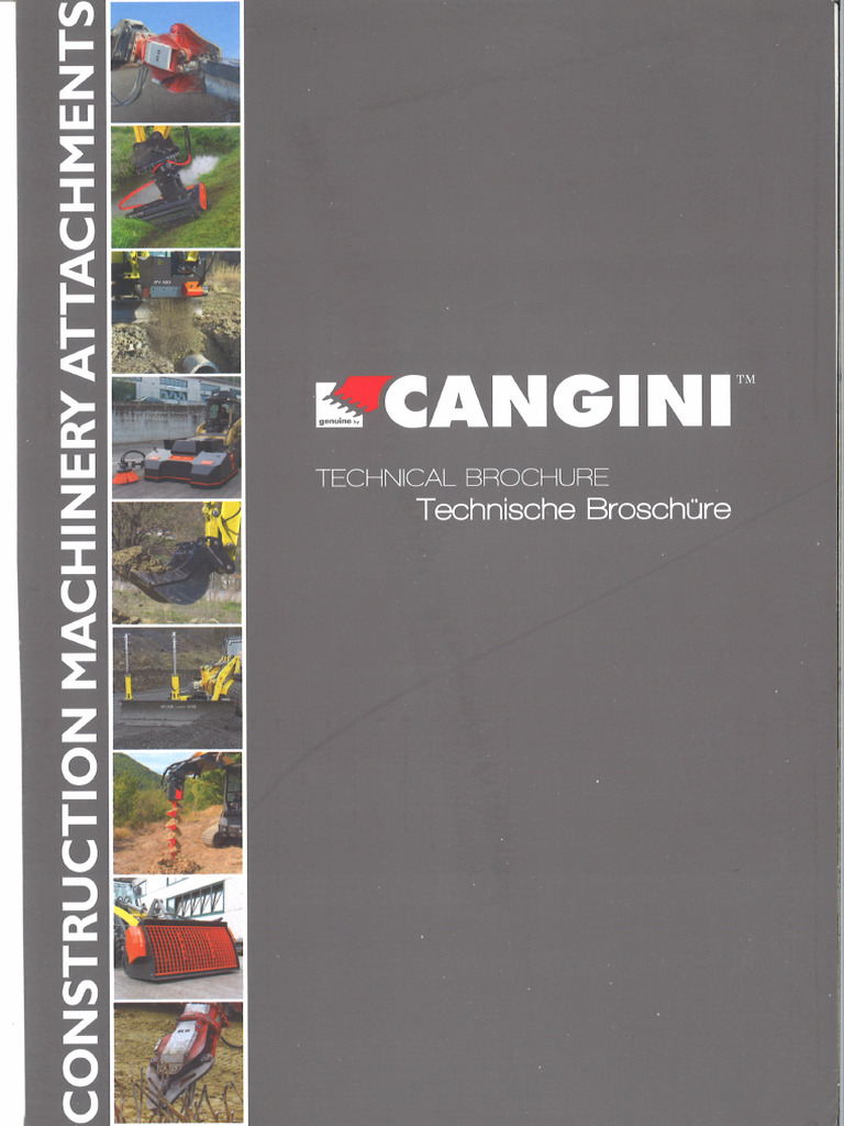 CANGINI | PDF