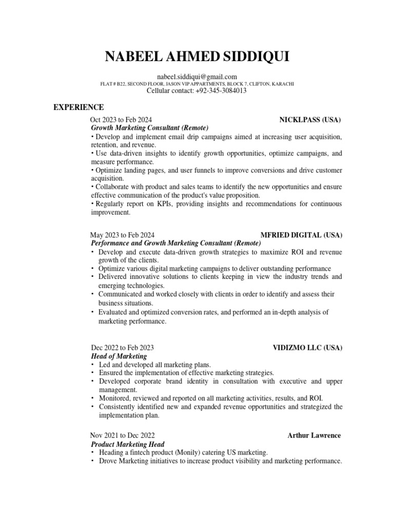 Nabeel CV Feb 2024 | PDF | Digital Marketing | Marketing