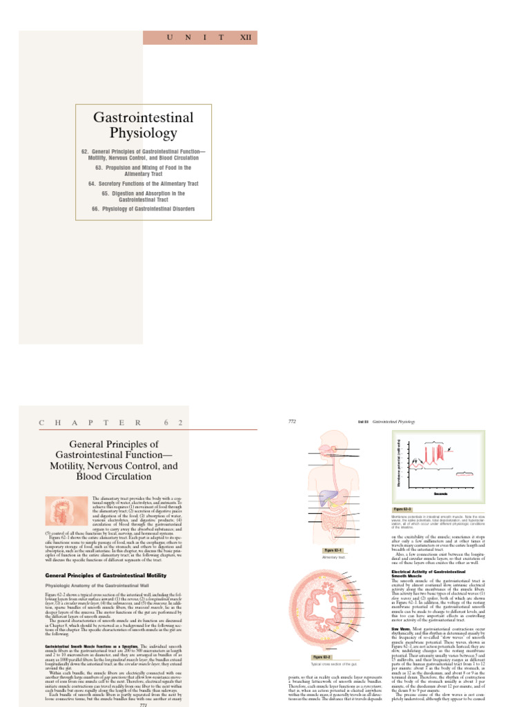 Gi Physio | PDF | Gastrointestinal Tract | Muscle Contraction