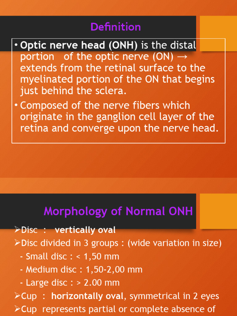 Optic Nerve | PDF | Retina | Optics