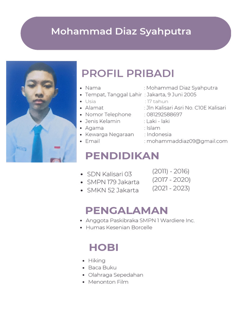 CV 2 | PDF