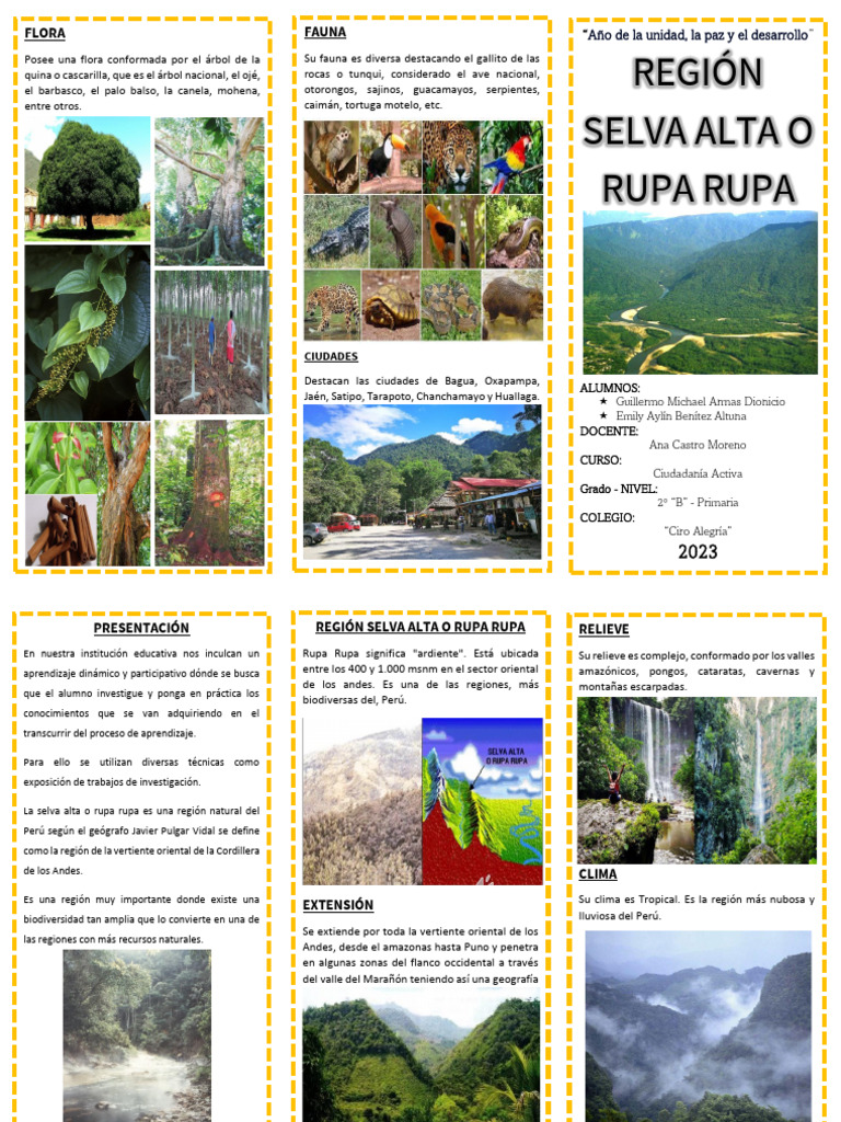 Selva Alta - Triptico | PDF | Ciencias de la Tierra | Ciencias Naturales