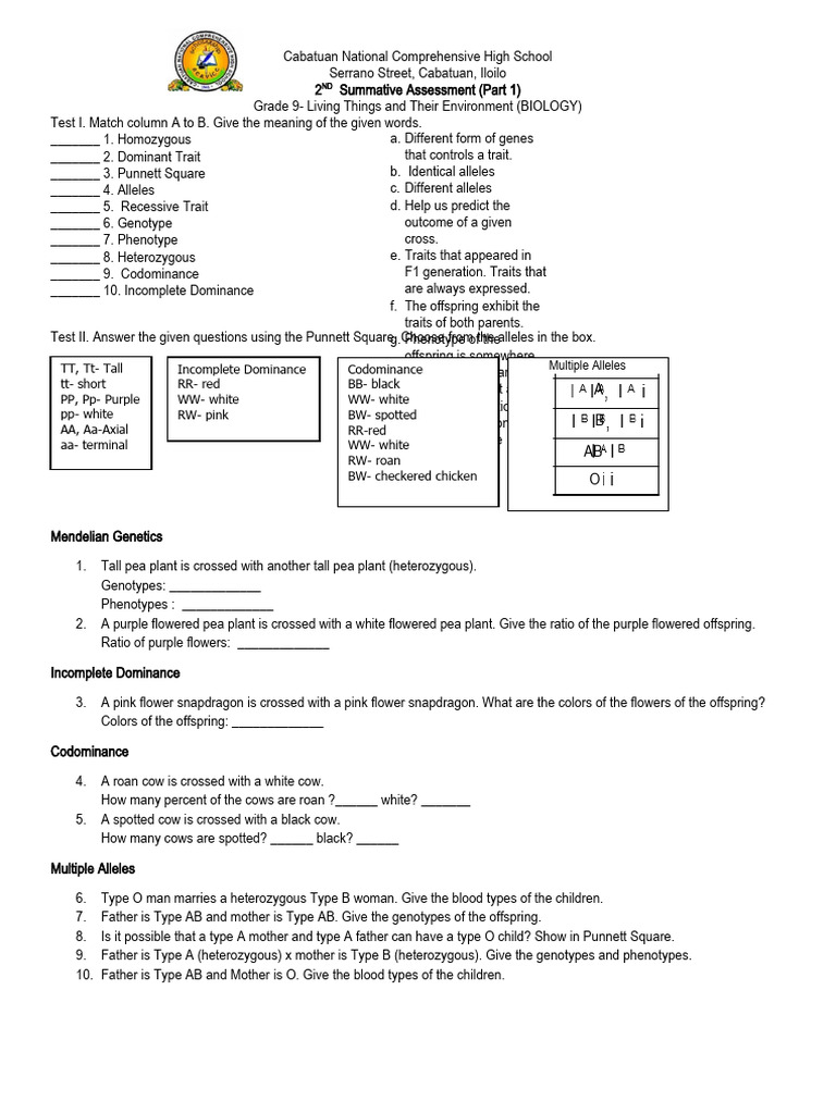 Summative Test No. 2 Part 1 | PDF | Dominance (Genetics) | Genotype