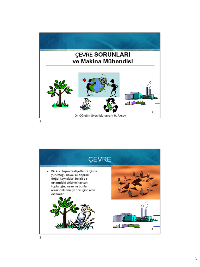 4 Çevre Sorunlari Sunu | PDF