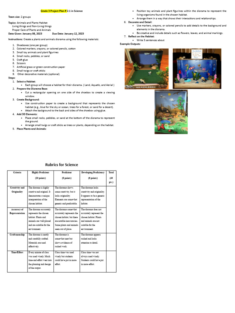 Grade 3 Project Plan # 2.1 in Science | PDF | Habitat