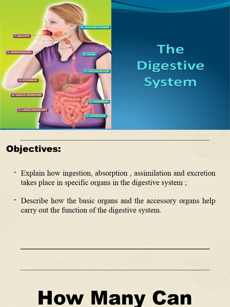 2nd+Learning+Media q4 | PDF | Digestion | Stomach