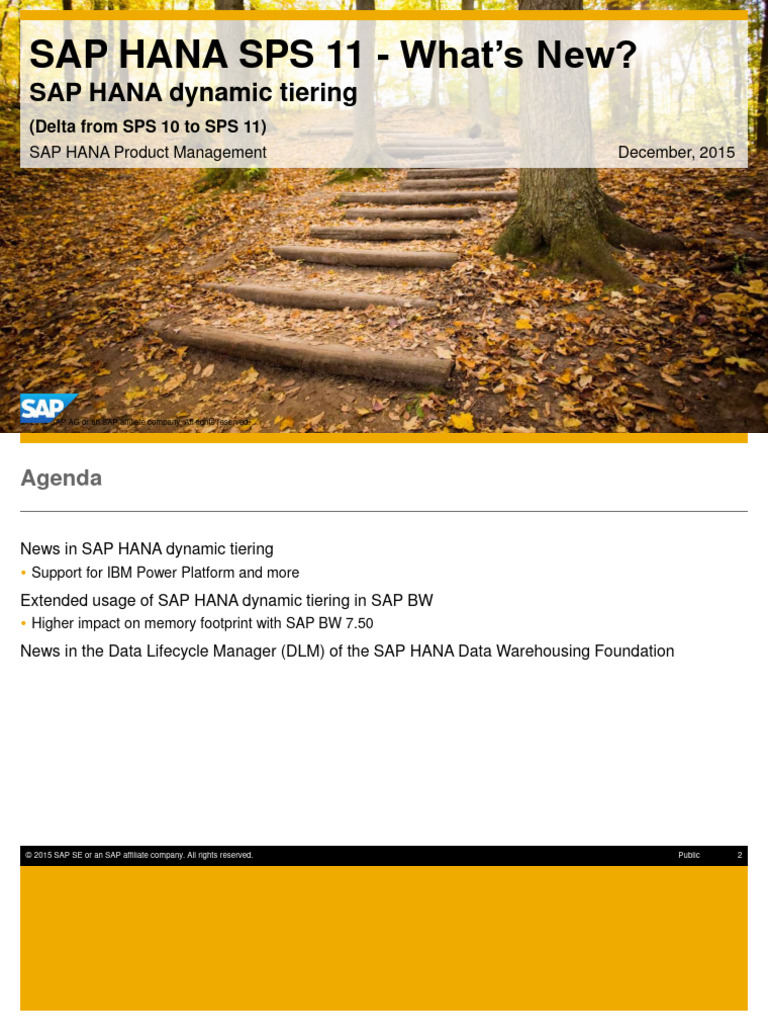 SAP HANA SPS 11 Dynamic Tiering | PDF | Cache (Computing) | Data