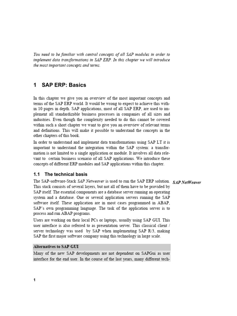 ERP Basics | PDF | Databases | Computing