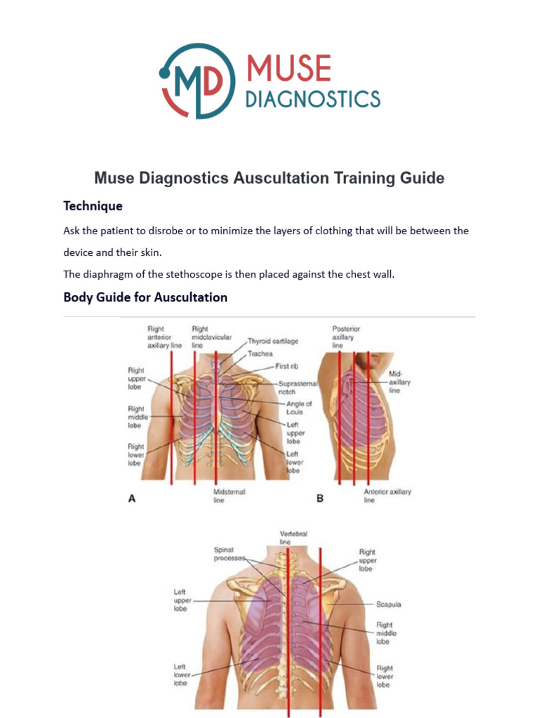 Lung and Heart Auscultation Guide | PDF | Lung | Heart