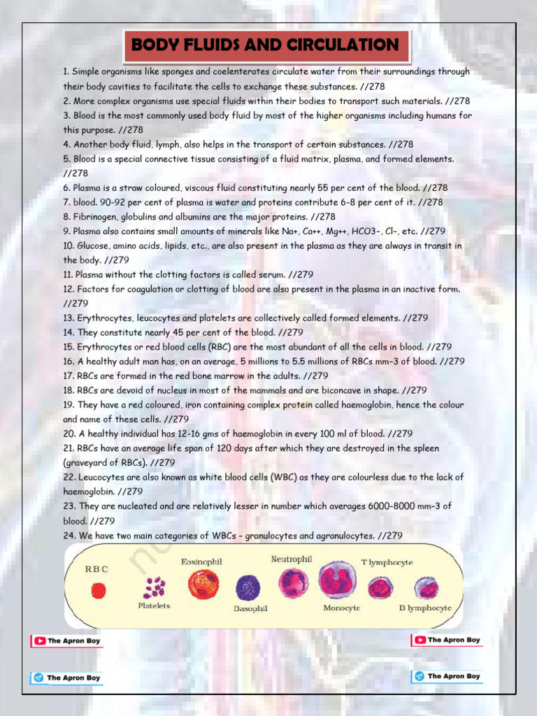 Body Fluids and Circulation | PDF | Heart | Atrium (Heart)