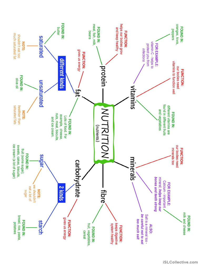 Nutrition Mind Map for Students | PDF | Foods | Fat