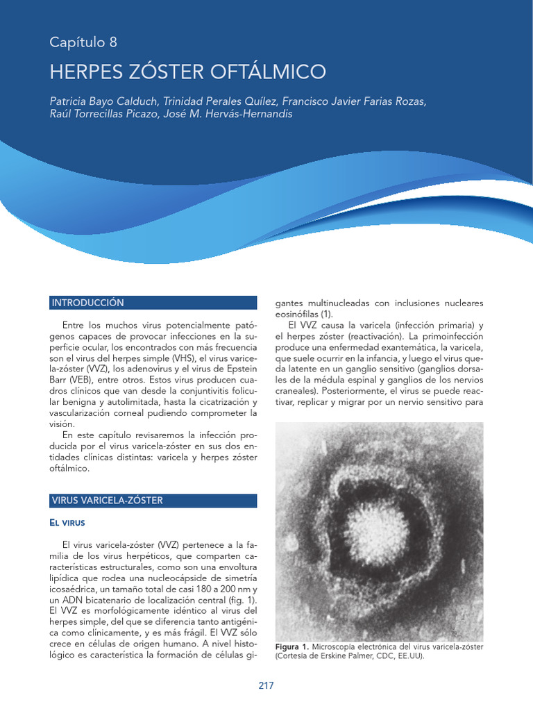 Capitulo 08 Herpes Zoster Oftalmico | PDF | Inmunología | Enfermedades y trastornos