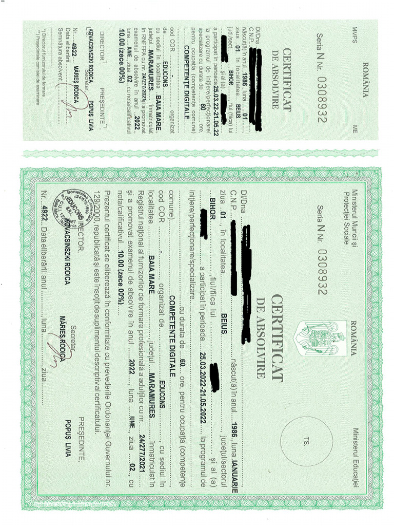 Model Certificat Competente Digitale Model | PDF