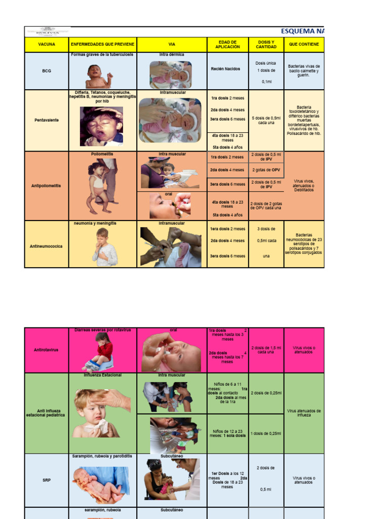 Esquema Del Pai - Actualizado | PDF | Alergia | Medicina